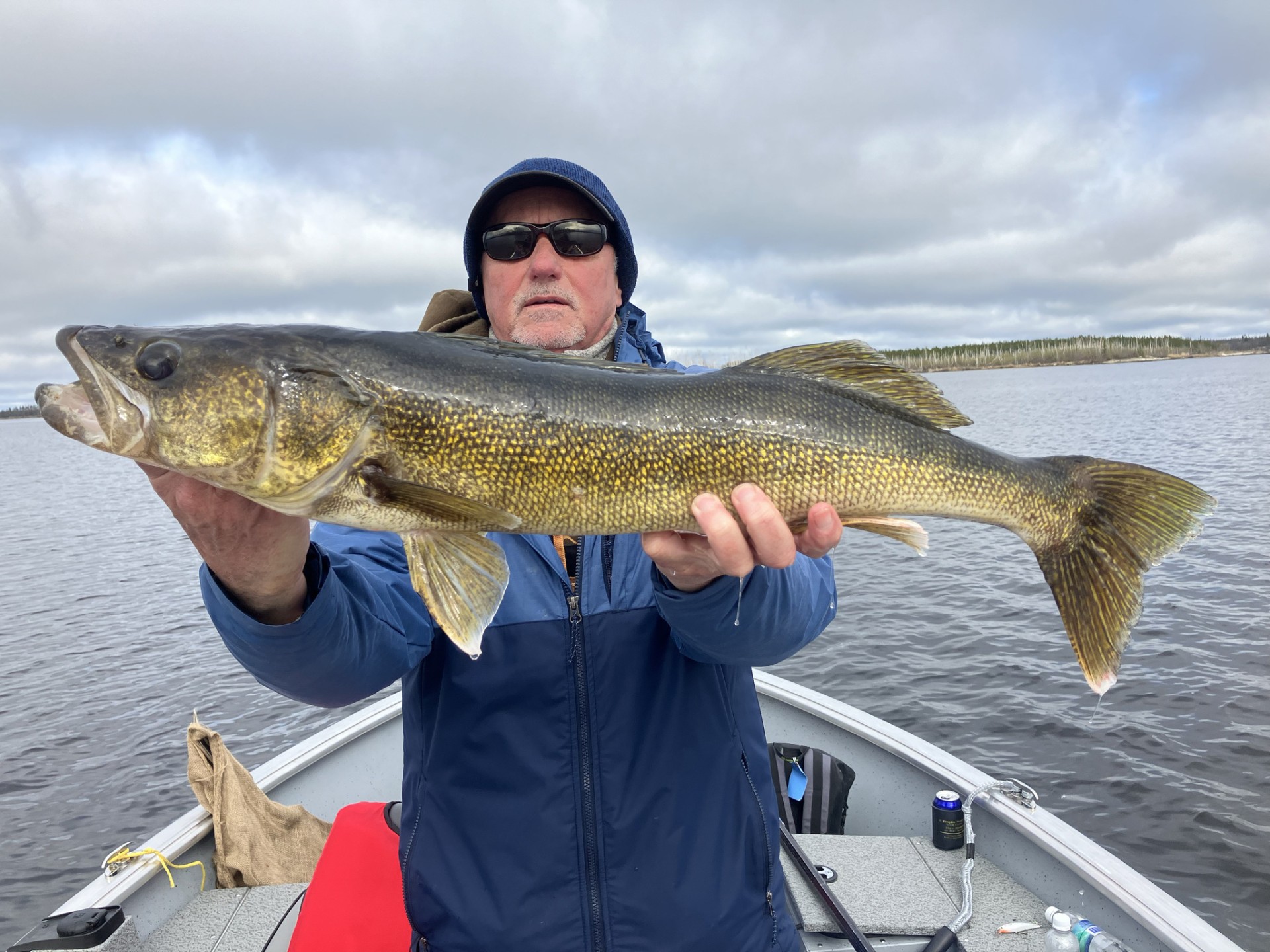 Walleye | Hunt Fish Manitoba