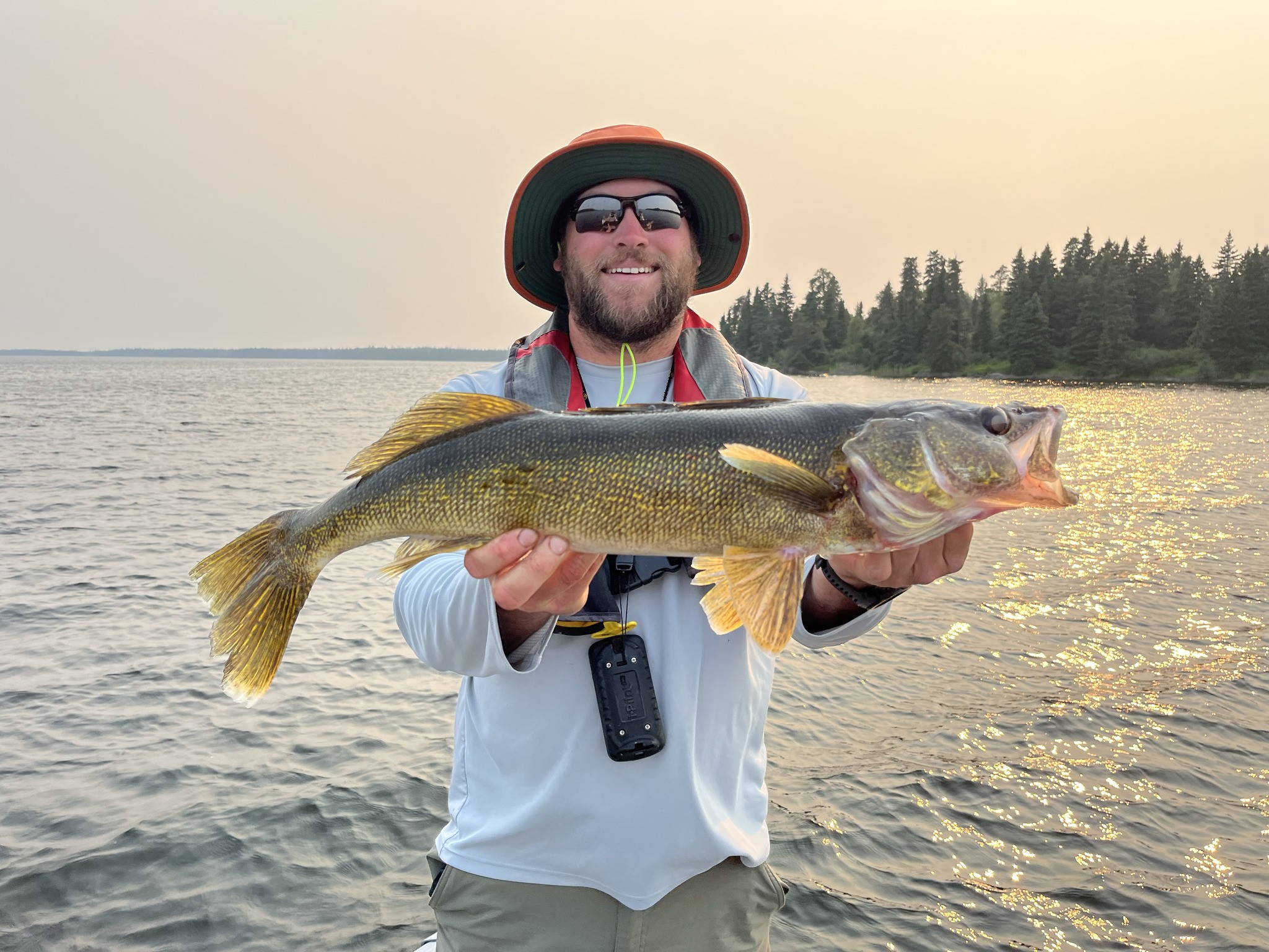 Walleye | Hunt Fish Manitoba