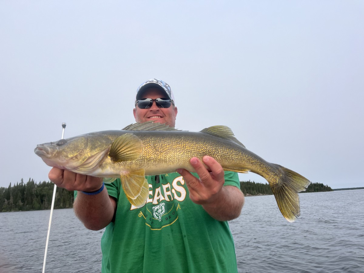 Walleye | Hunt Fish Manitoba