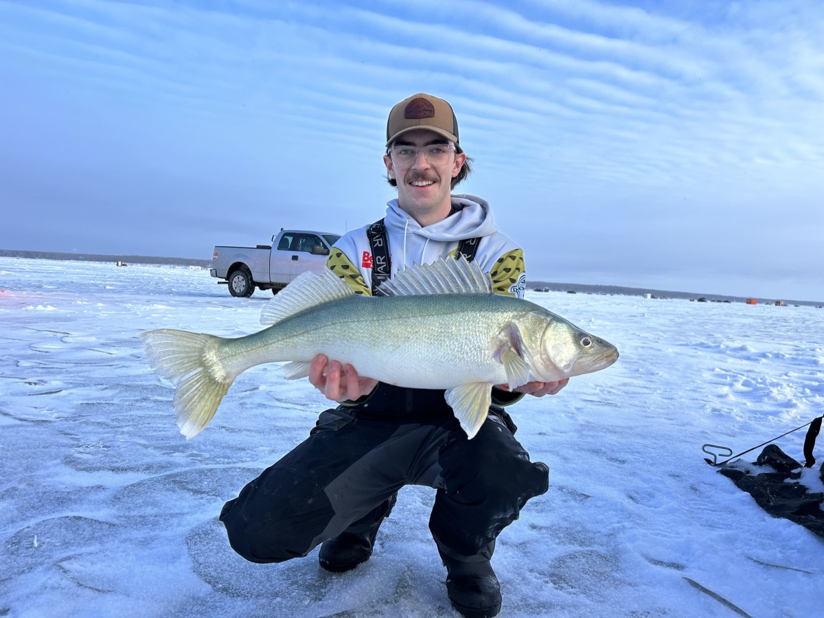 Walleye | Hunt Fish Manitoba