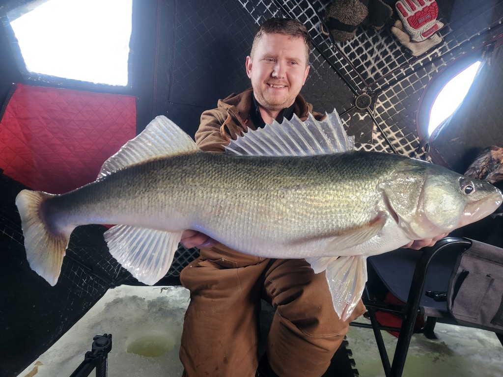 Walleye | Hunt Fish Manitoba