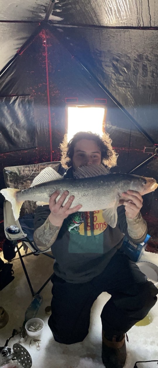 Walleye | Hunt Fish Manitoba