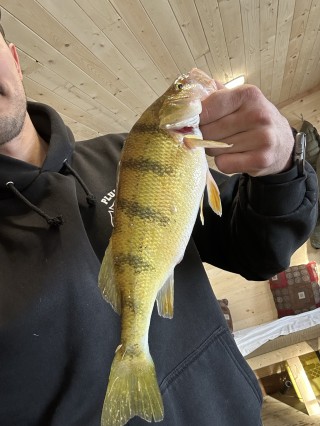 Master Angler Program | Hunt Fish Manitoba