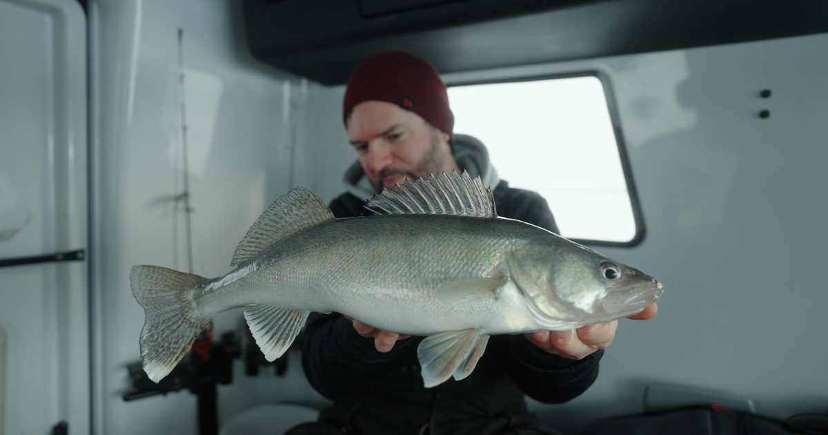 Island Ice Fishing in Luxury - Gull Harbour Marina | Hunt Fish Manitoba