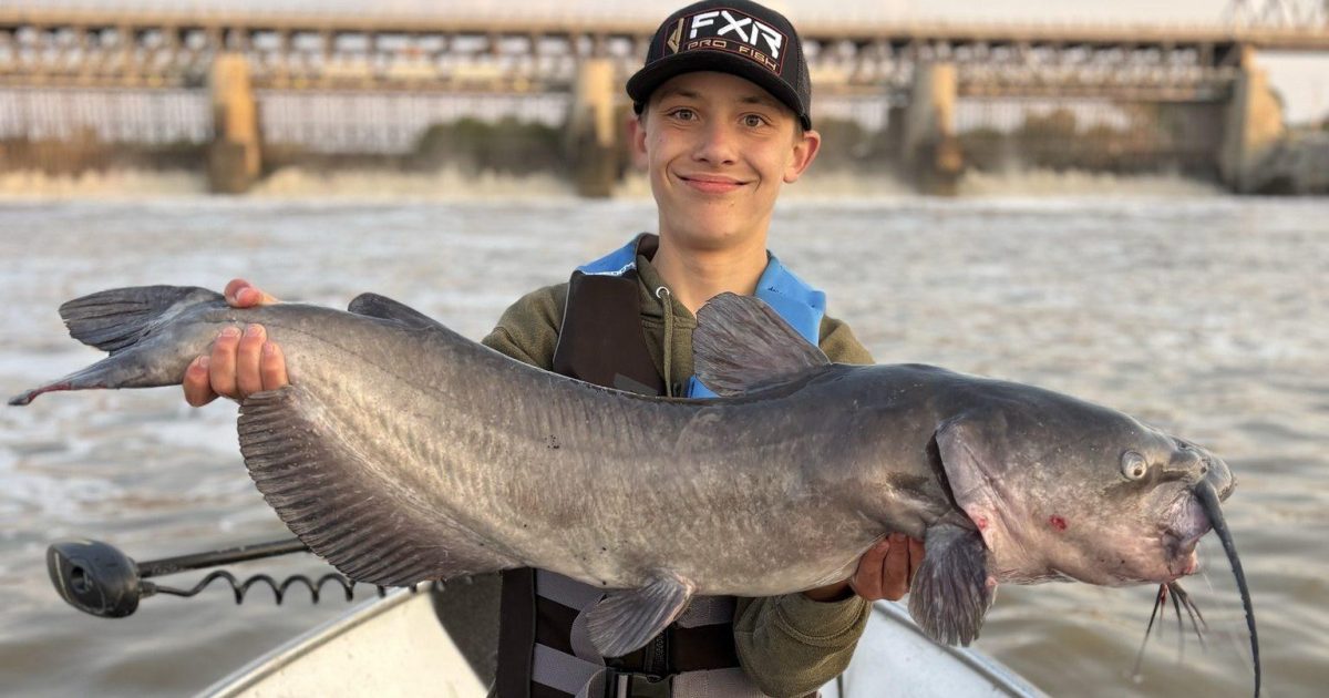 Manitoba Master Angler Highlights: Trophy Catches from Across Manitoba ...