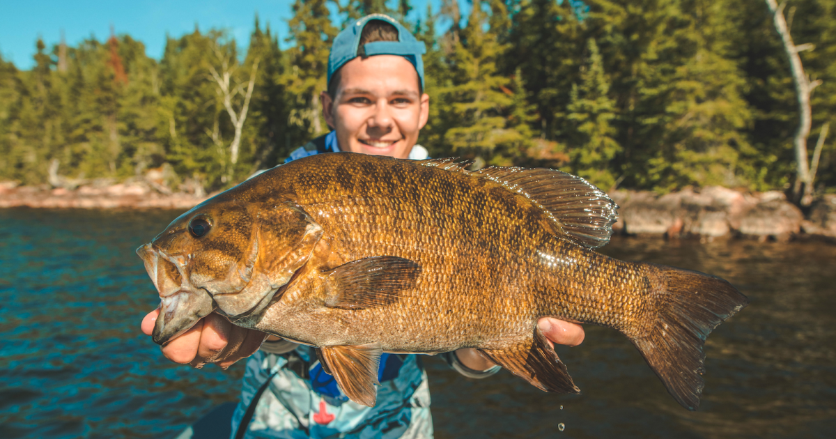 Discover Eastern Manitoba: Wild Adventures and Warm Welcomes Await ...