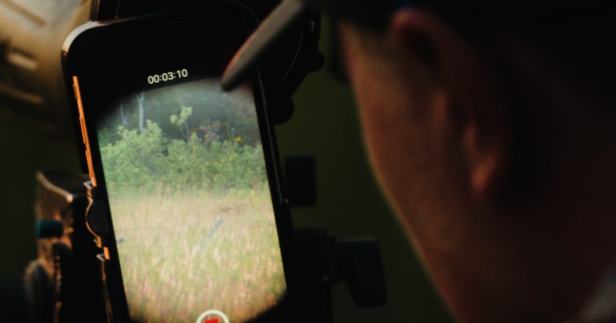 Las cuatro mejores estrategias para cazar cola blanca en verano en ...