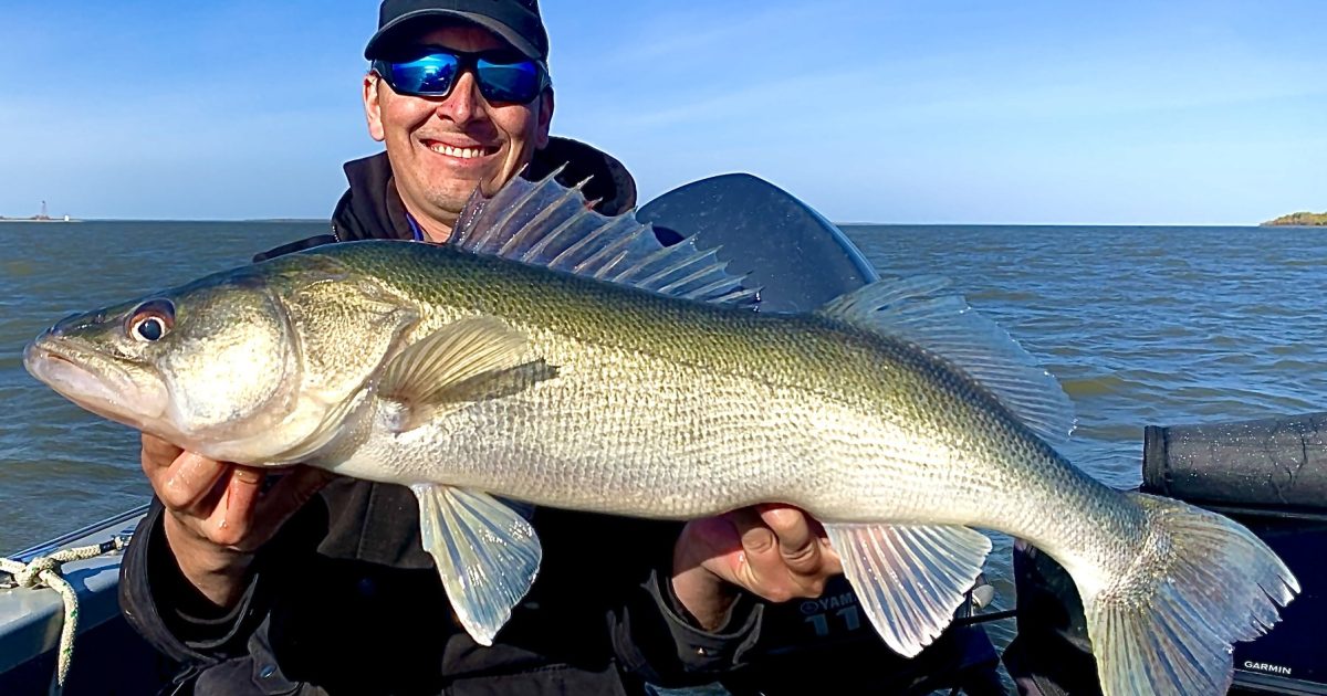 Chasing Greenback Walleyes: Fall Fishing Gear Guide | Hunt Fish Manitoba