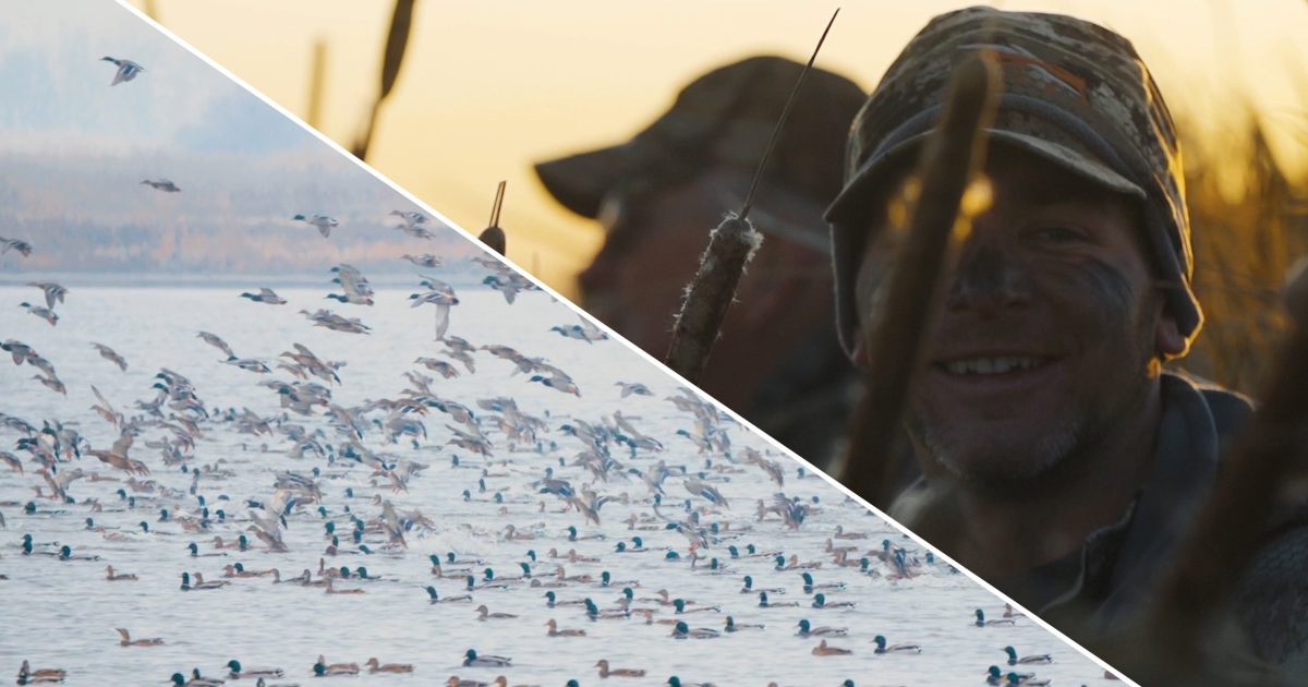 The Prairie Pothole Duck Factory - Birdtail Waterfowl | Hunt Fish Manitoba