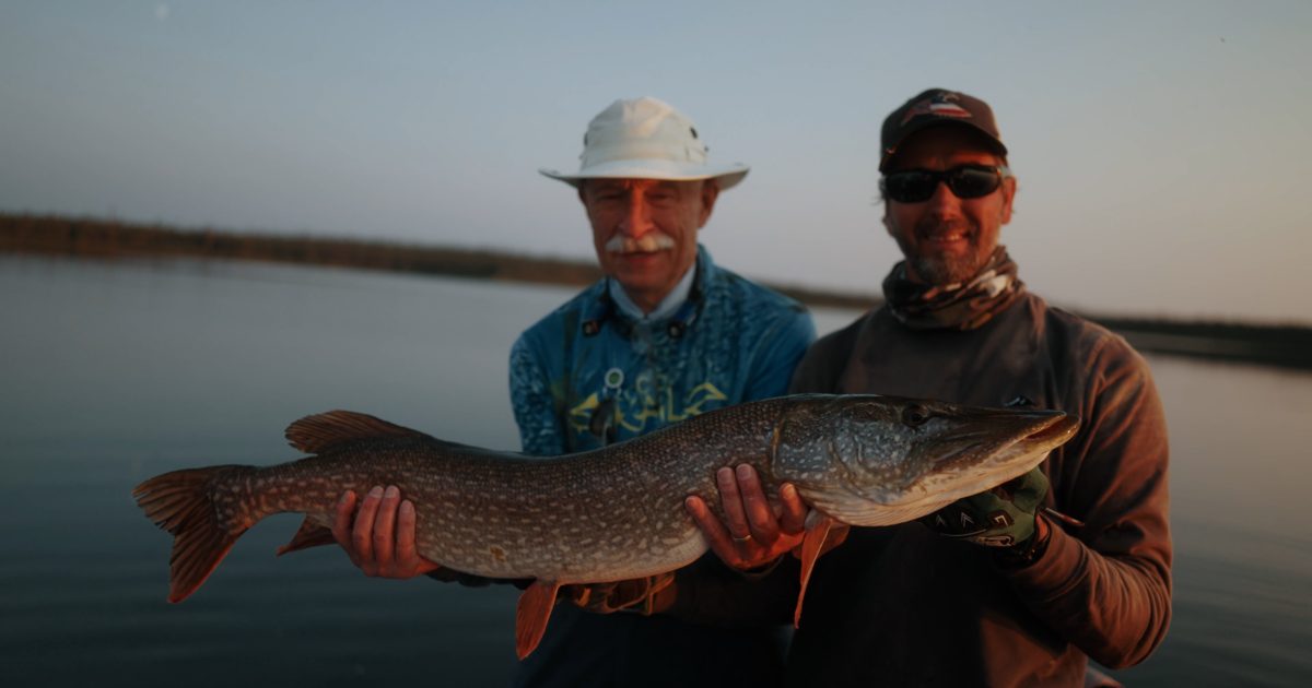 Pesca a mosca de lucios trofeo - Dunlop's Fly-in Lodge | Hunt Fish Manitoba