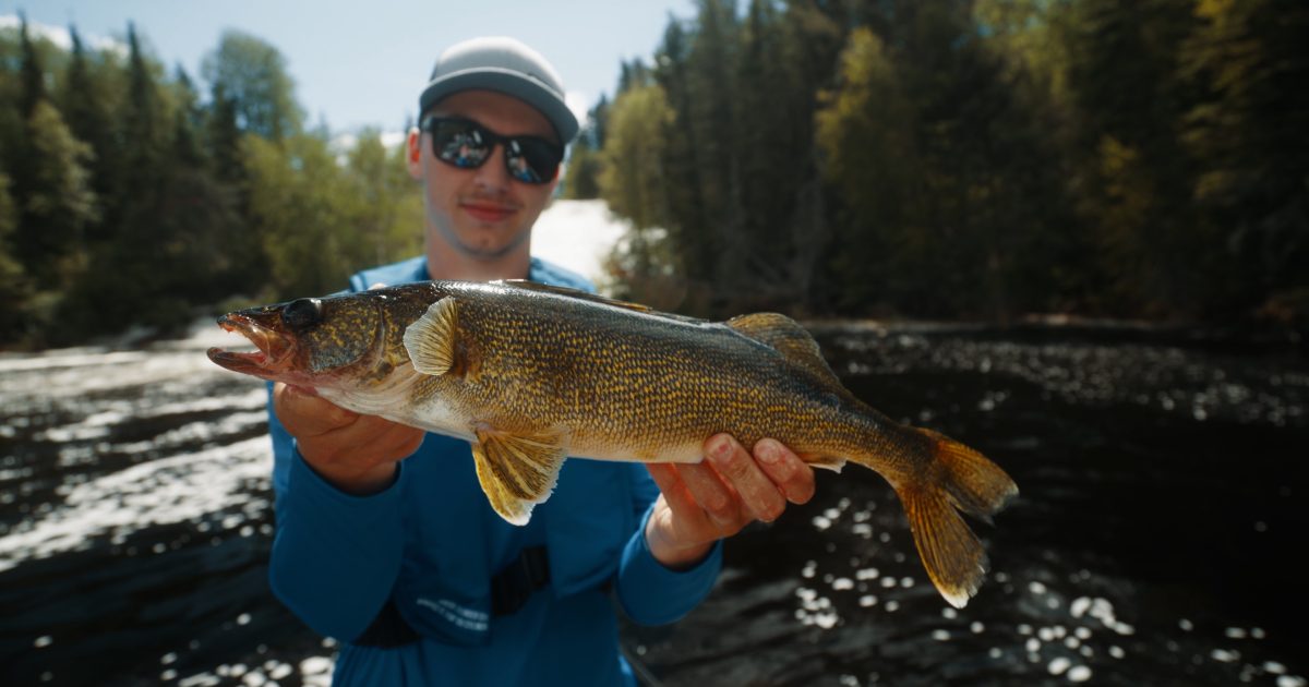 Eagle Nest Lodge: L'ultime retraite de pêche à la mouche dans la nature ...