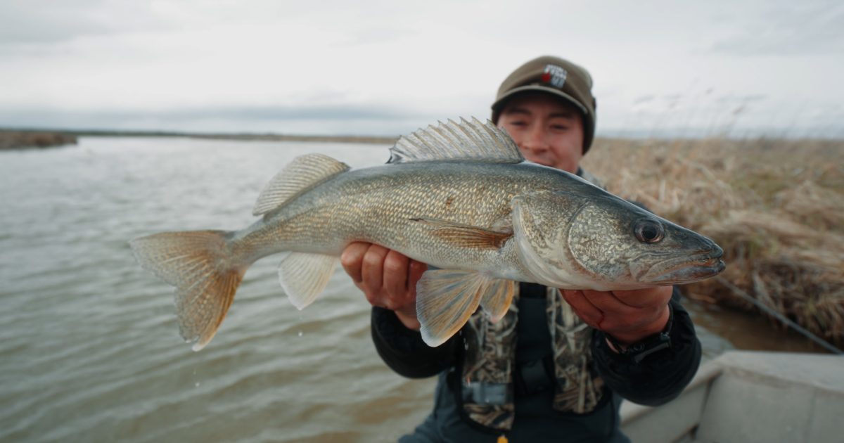 Incredible Drive-to Fishing on the Waterhen River - Harvest Lodge ...