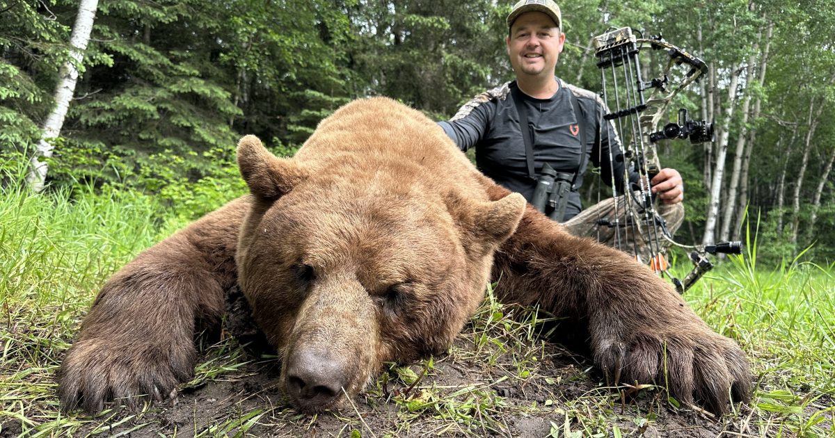 A Manitoba Black Bear of a Million Hunts - Baldy Mountain Outfitters ...