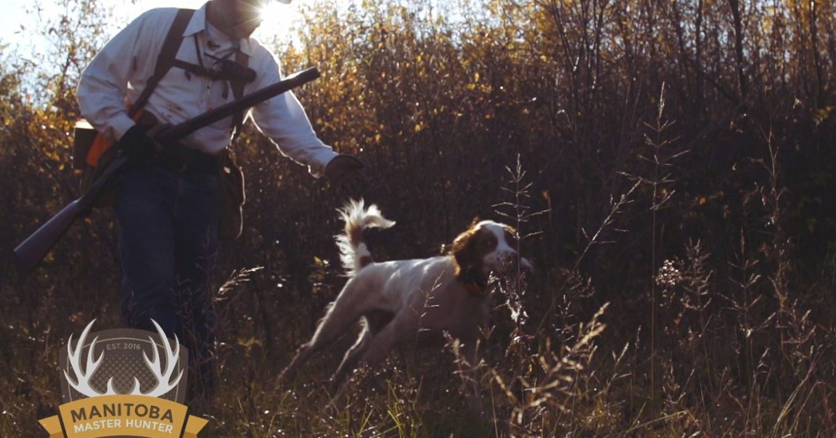 Ruffed Grouse Hunting in Manitoba - Manitoba Master Hunter Minute ...