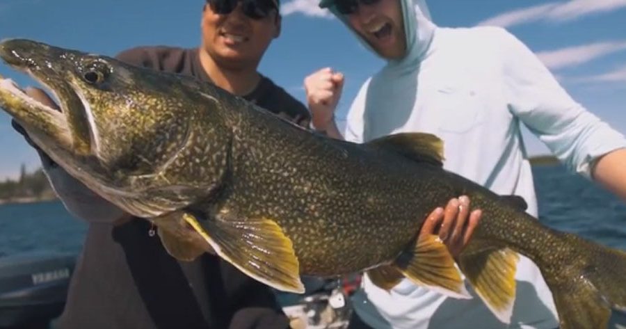 Fly-In Fishing Paradise - Laurie River Lodge, Manitoba | Hunt Fish Manitoba