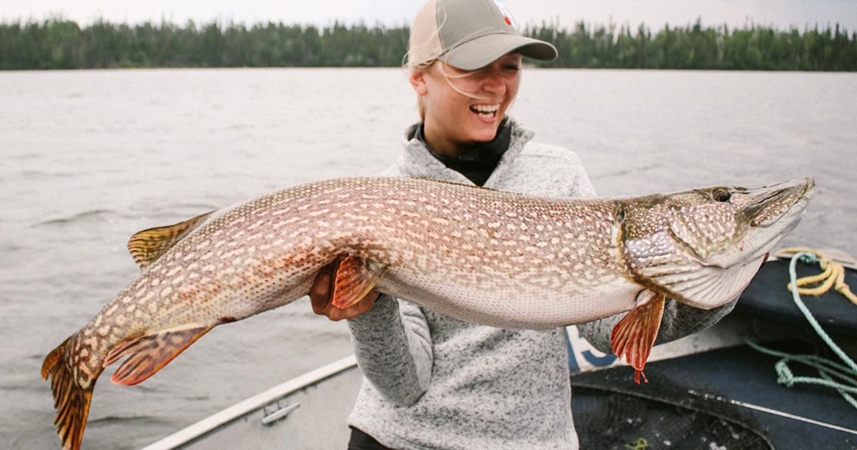 5 Fabulous Manitoba Fly-in Fishing Lodges to Visit This Summer! | Hunt ...