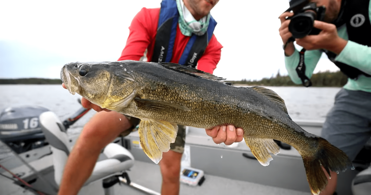 Manitoba Fly-in Fishing for Big Walleye: Sasaginnigak Lodge – Jay ...