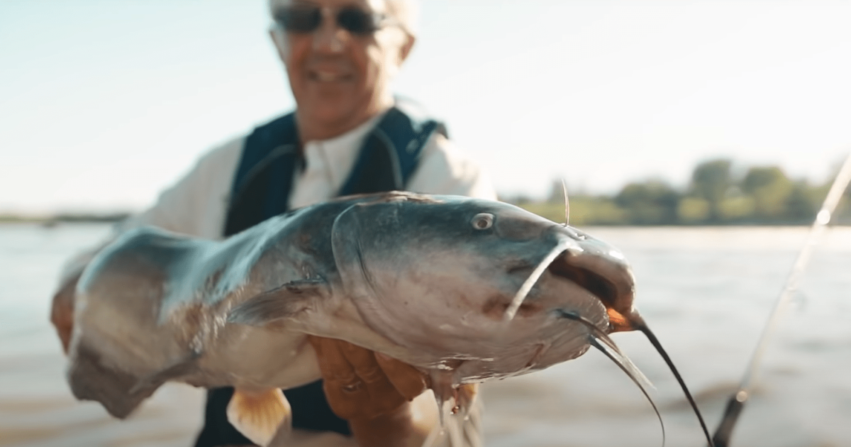 River Fishing for Giant Manitoba Channel Catfish! - Jay Siemens Vlog ...